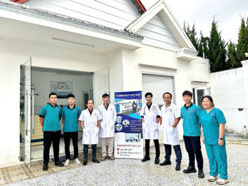 ĐÂY LÀ GIỐNG CHÓ GÌ? 🙈🙉 - Saigon Pet Hospital